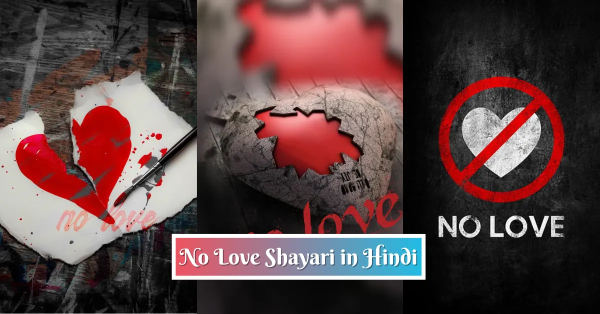80+ Best No Love Shayari in Hindi 2025 - allshayaris.com